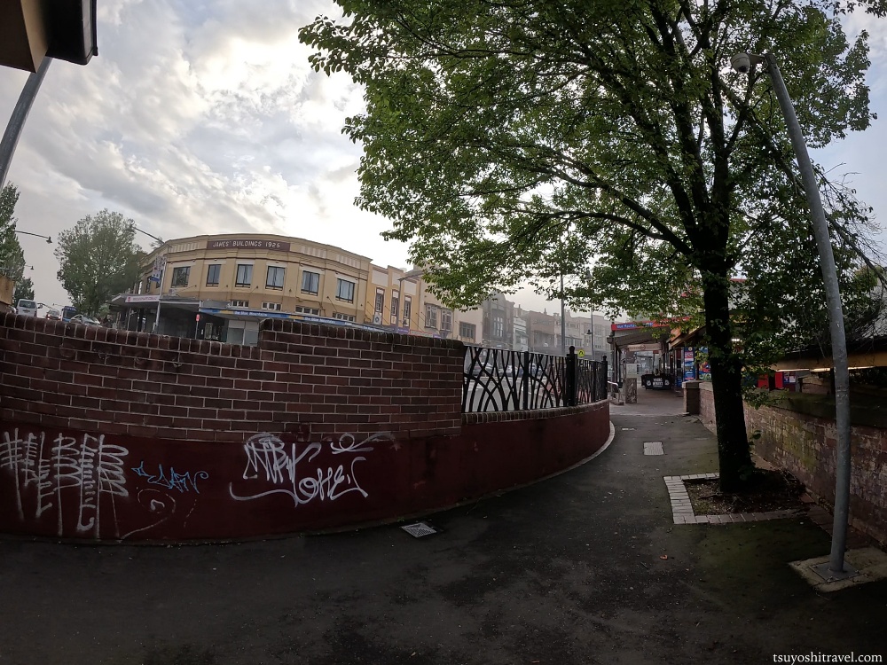 「Blue Mountains Line」でブルー・マウンテンズ→シドニーセントラル駅まで列車移動。【オーストラリア🇦🇺旅行#35 ...